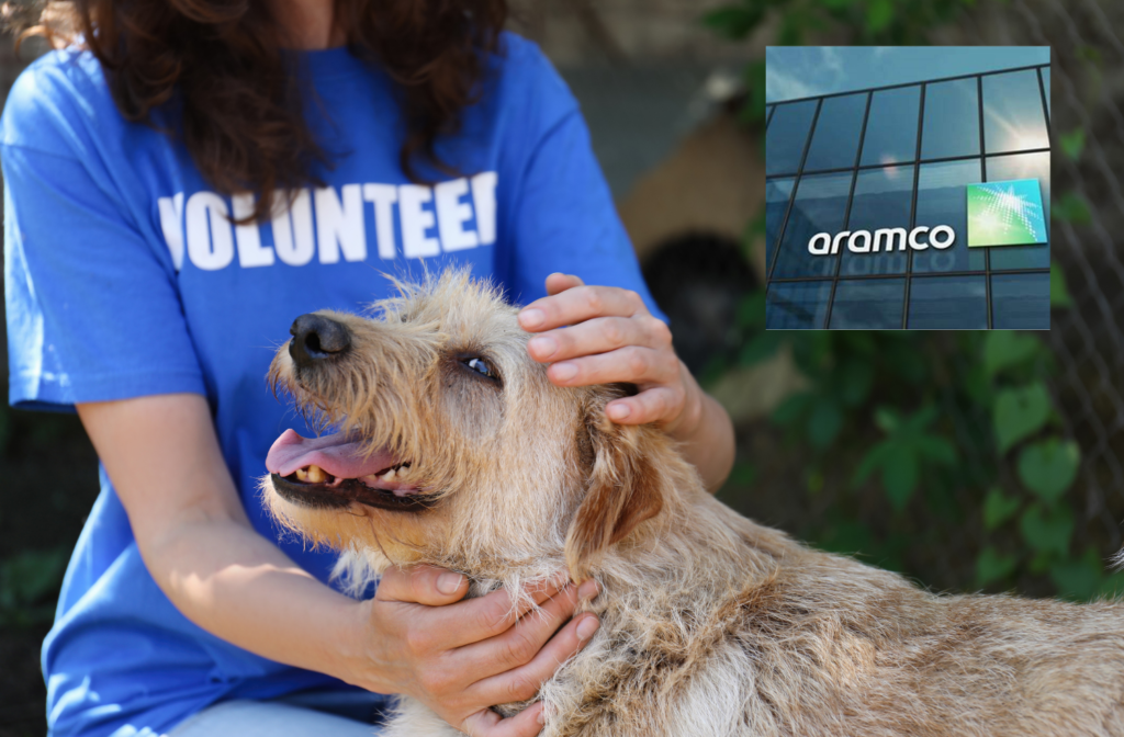 Aramco Launches New Initiative to Protect Stray Animals in Saudi Arabia ...