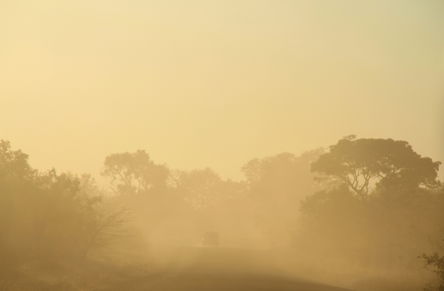UAE Braces for a Dusty Weekend with Rising Temperatures Across the ...